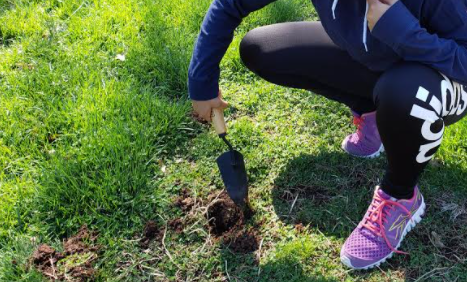 TEECS | NASA’s GLOBE Program – Pedosphere: Soil Moisture and ...